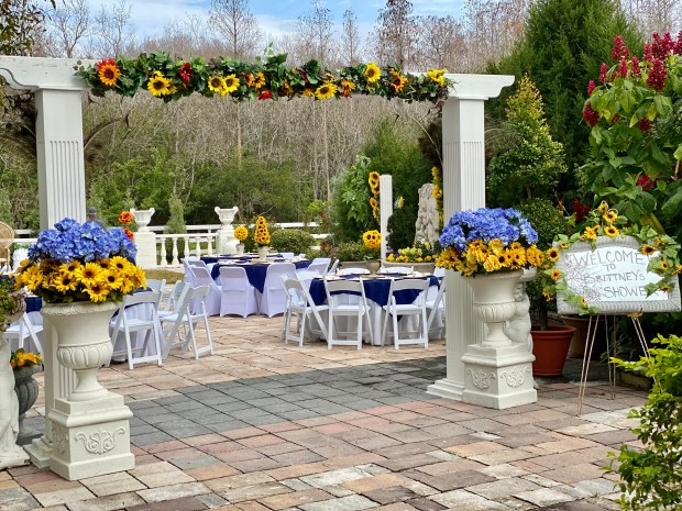 Venue – Hummingbird Gardens